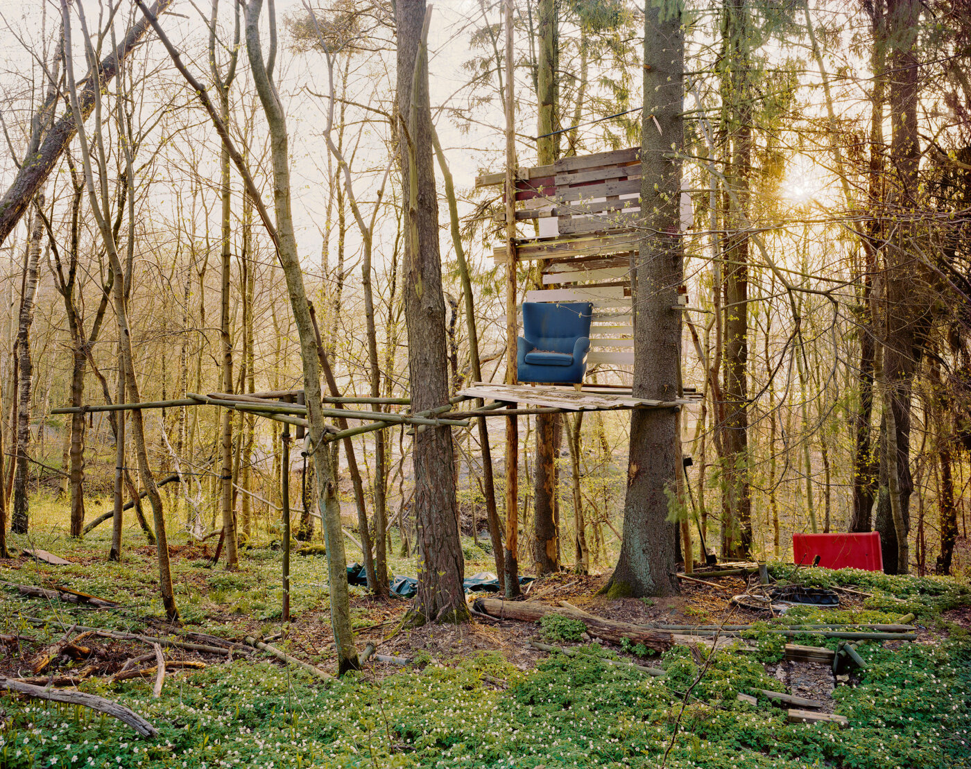 Sub arboribus ambulo – Gothenburg Botanical Garden - Hendrik Zeitler