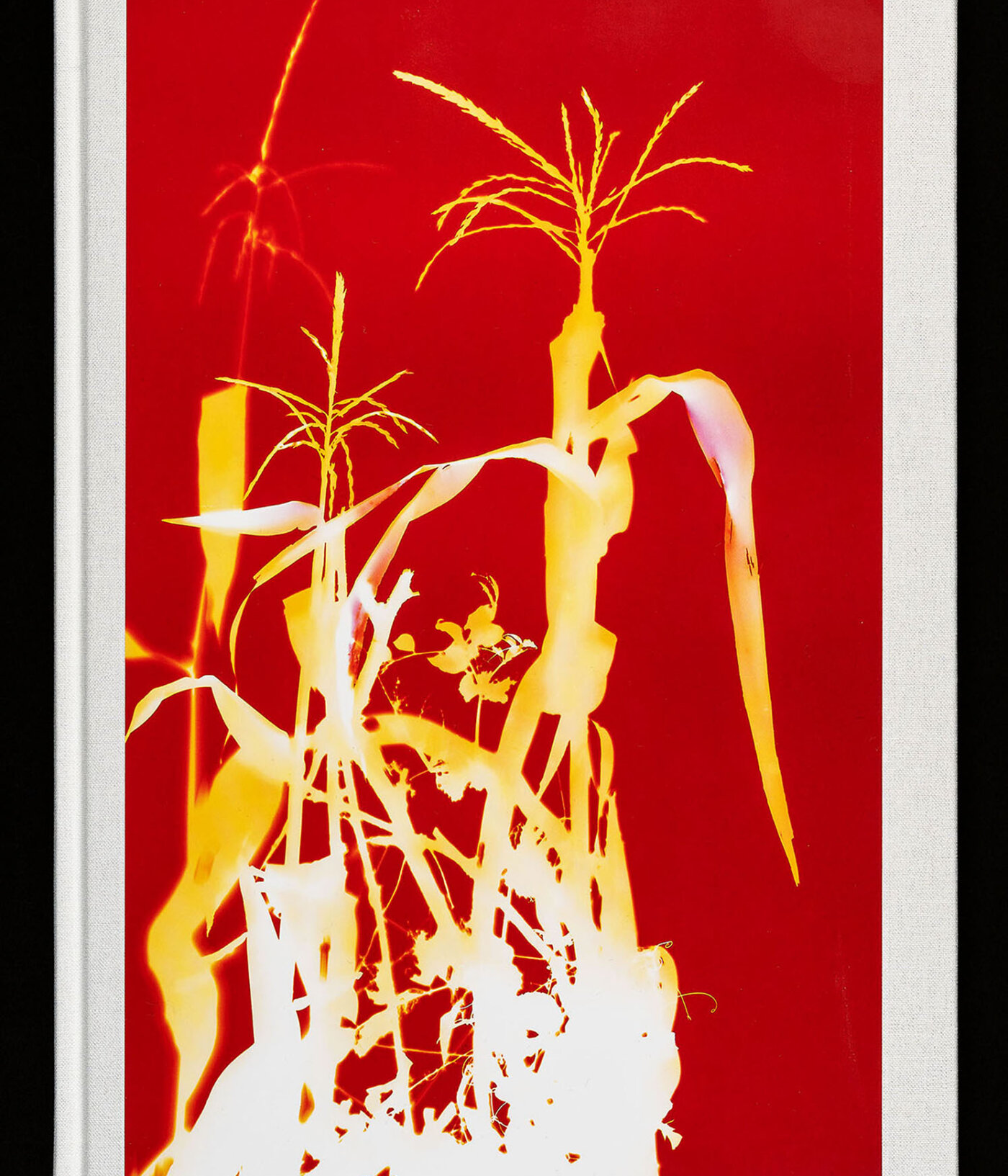 1:1 Hammarkullen – 2022 - Hendrik Zeitler